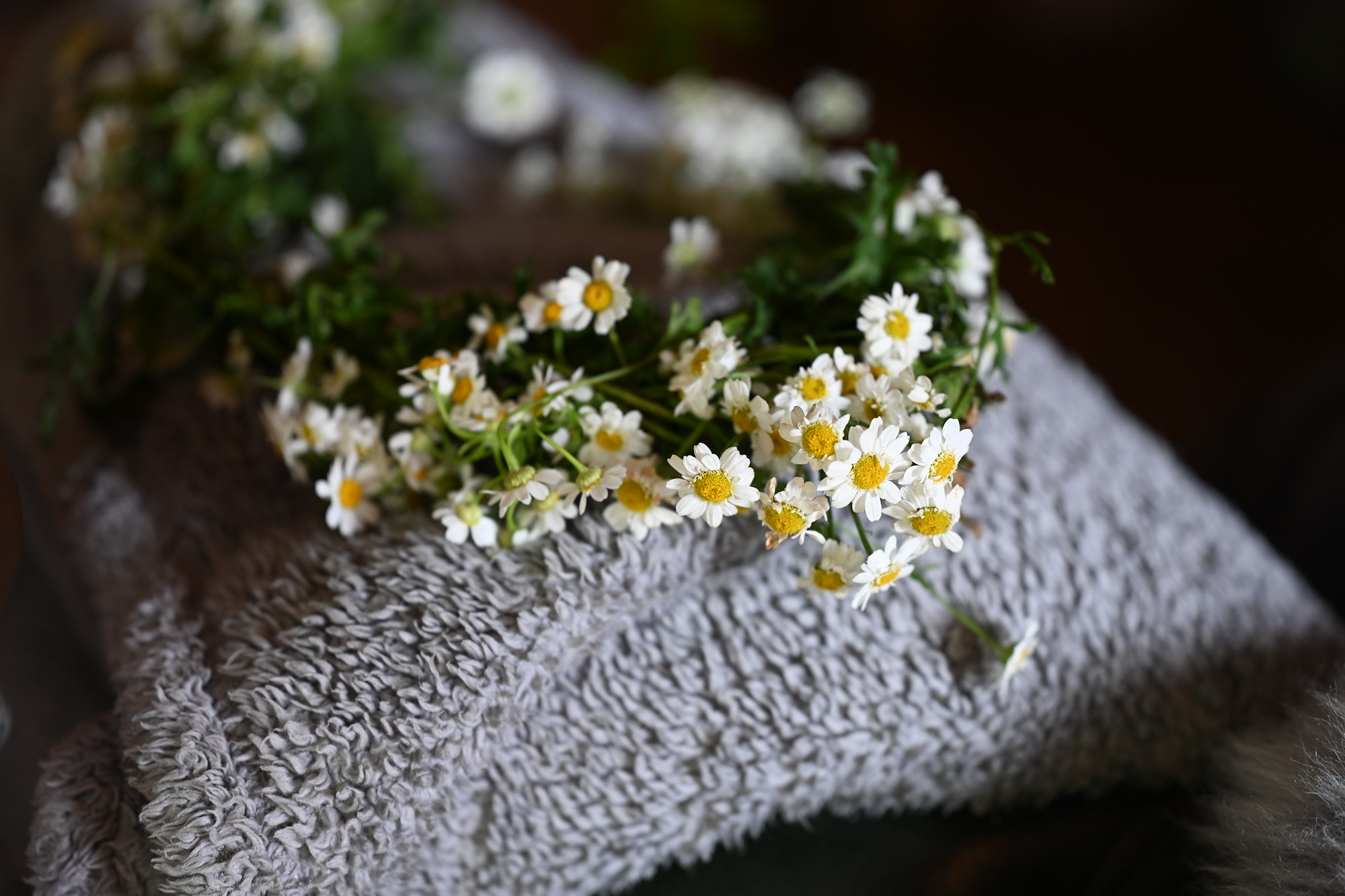 Wedding Example Gallery 2 | Michelle Rickard Photography