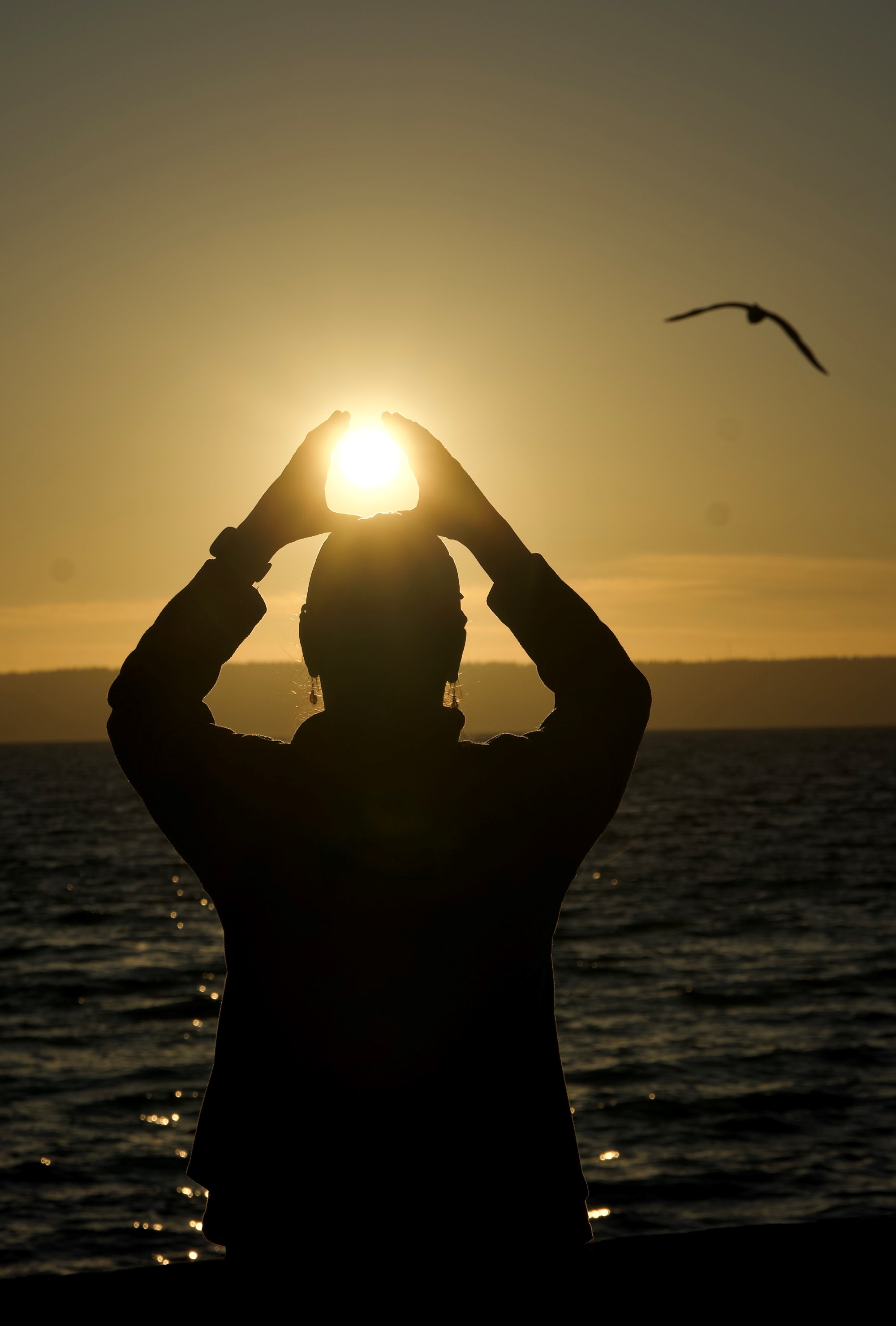 Catching Sunshine | F4 Photography