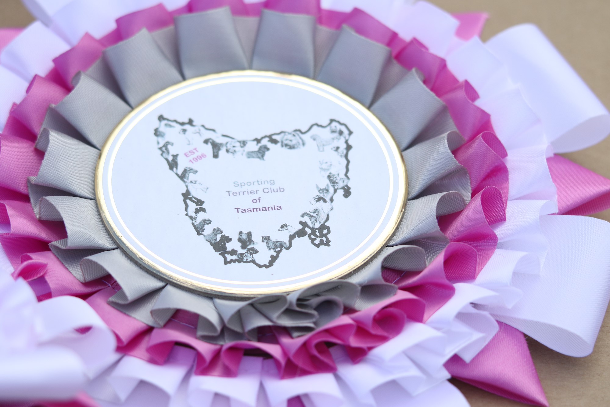 Sporting Terrier Club Show | JC Photography