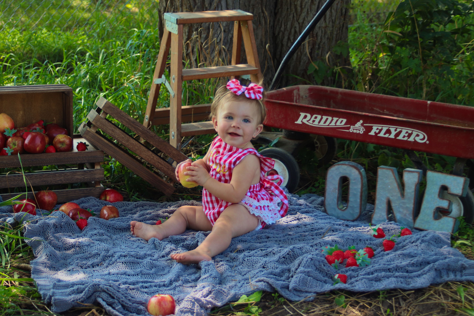 Raelynn's One | AE Photography & Designs