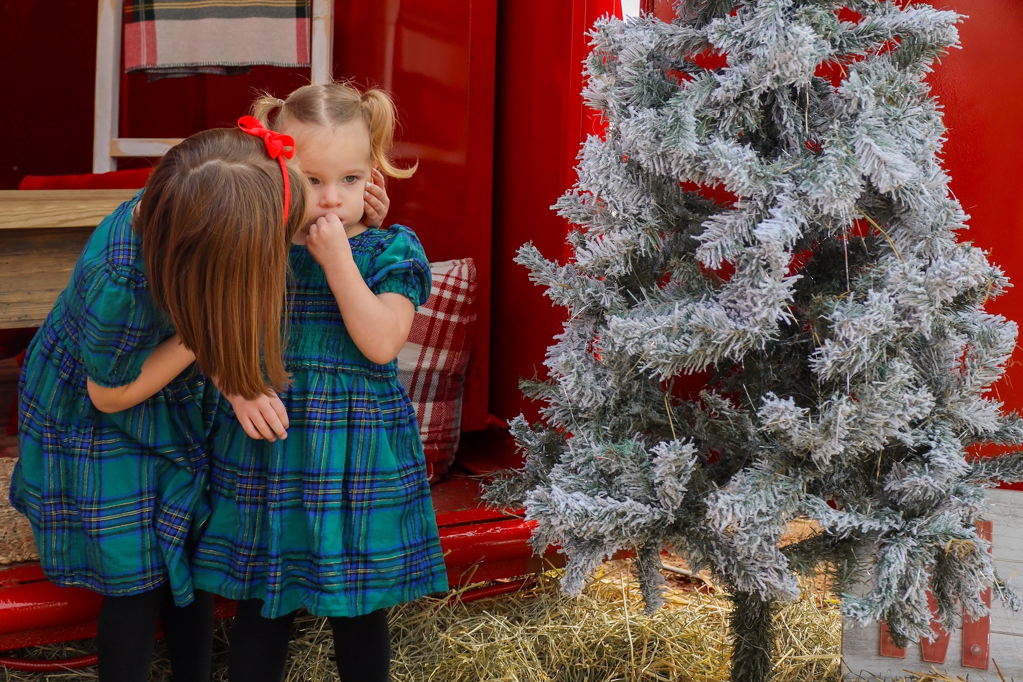 Jenny Ferrell | Root Photo Co.