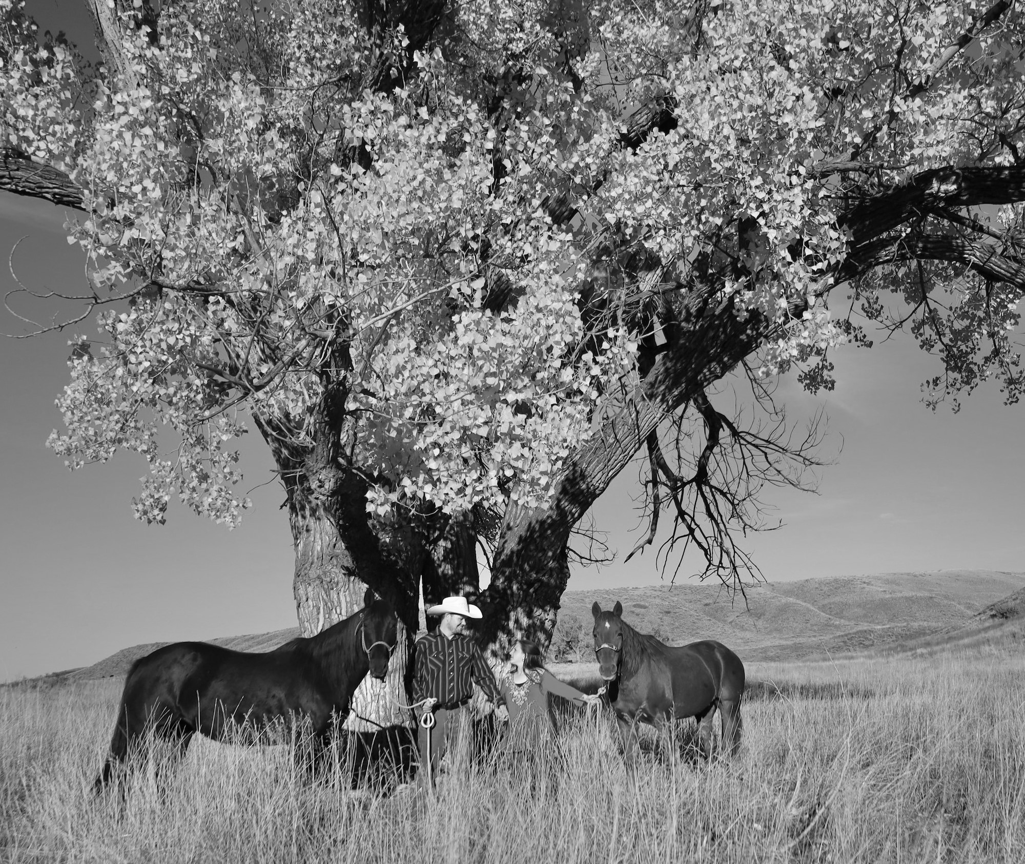 Nikki & James | Rustic Roads Photography
