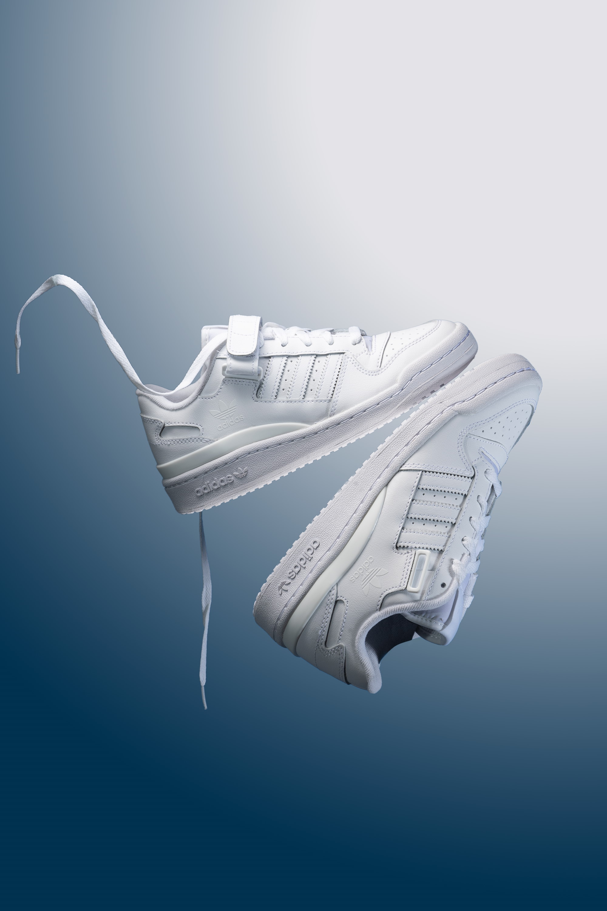 CREATIVE | Panda Creations Productions