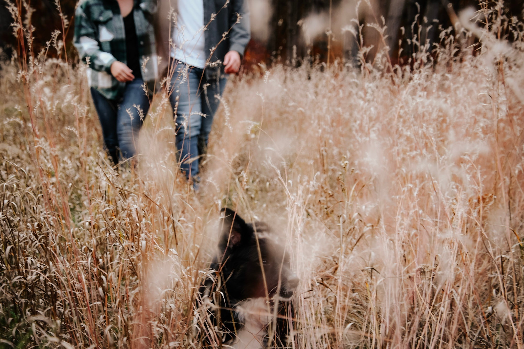 Sample Portfolio • Cassandra Olsen Photography | Cassandra Olsen ...